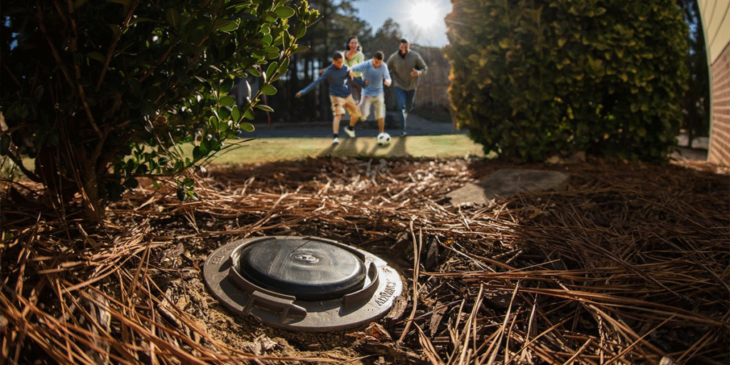 Pest Control Company & Exterminators | Aruza